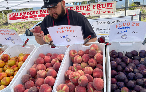 home | Edible Paradise