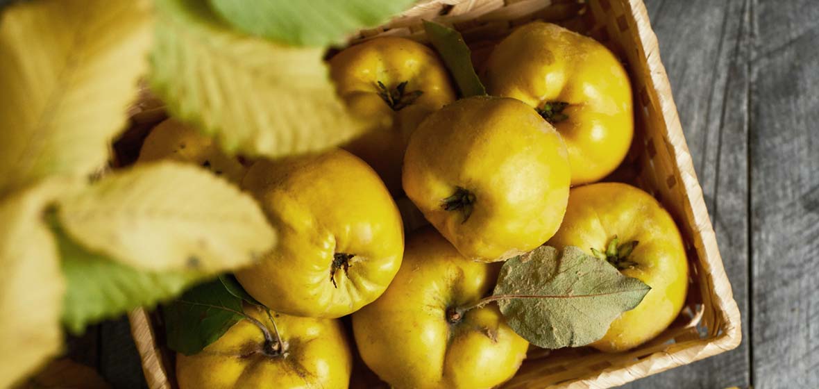 Homepage | Edible Paradise